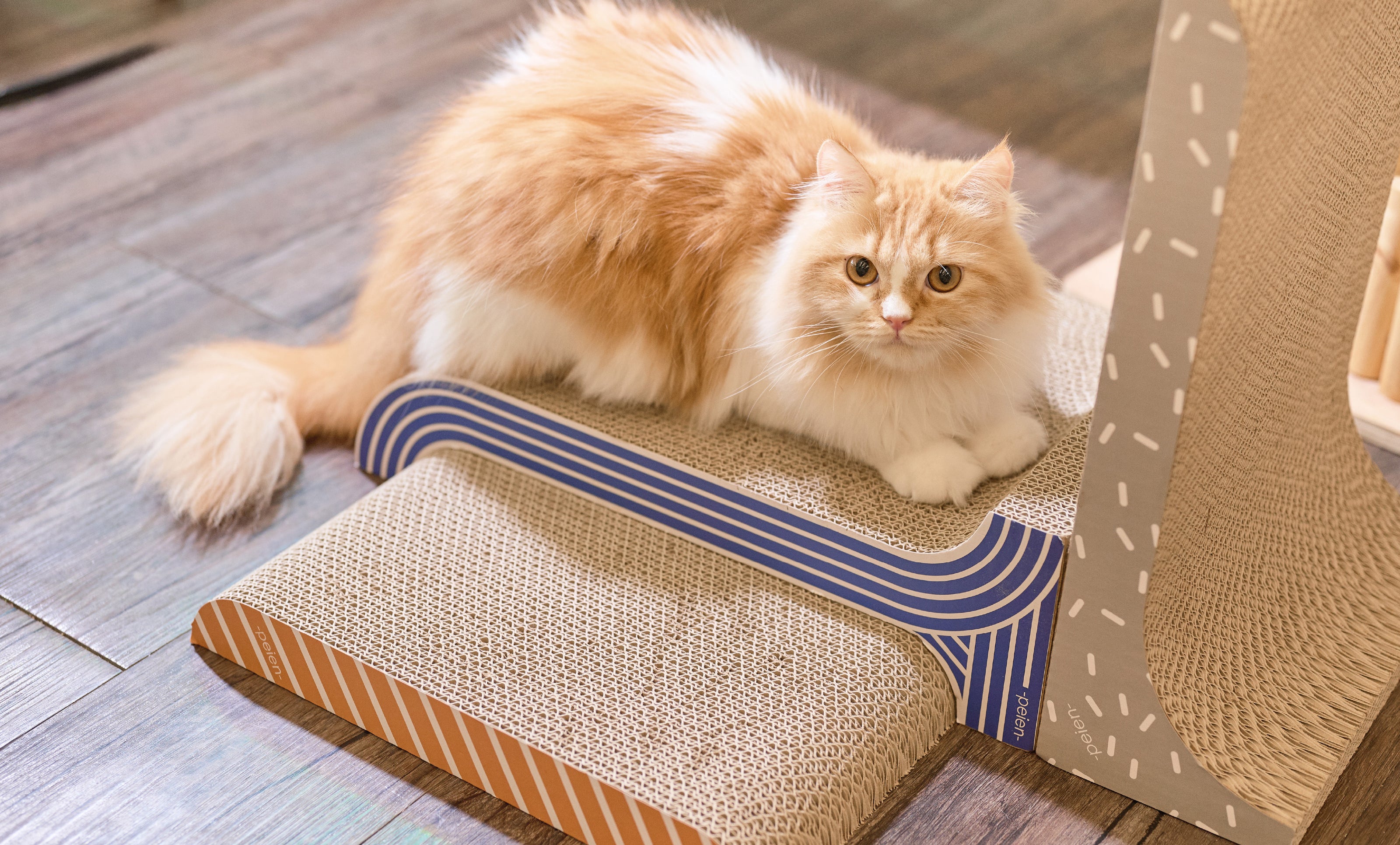 Peien Official Malaysia